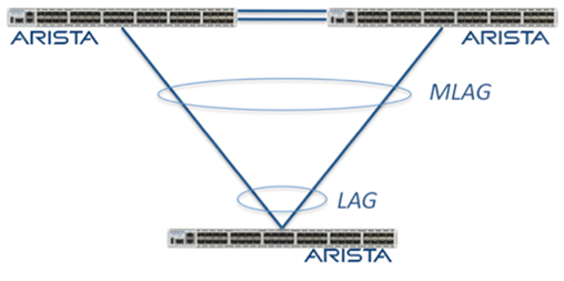 Scalable Techniques for Multi-terabit Cloud Networking